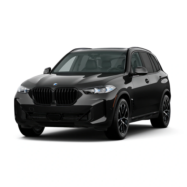 BMW X5 Premium Blackout Kit – VIP Auto Accessories